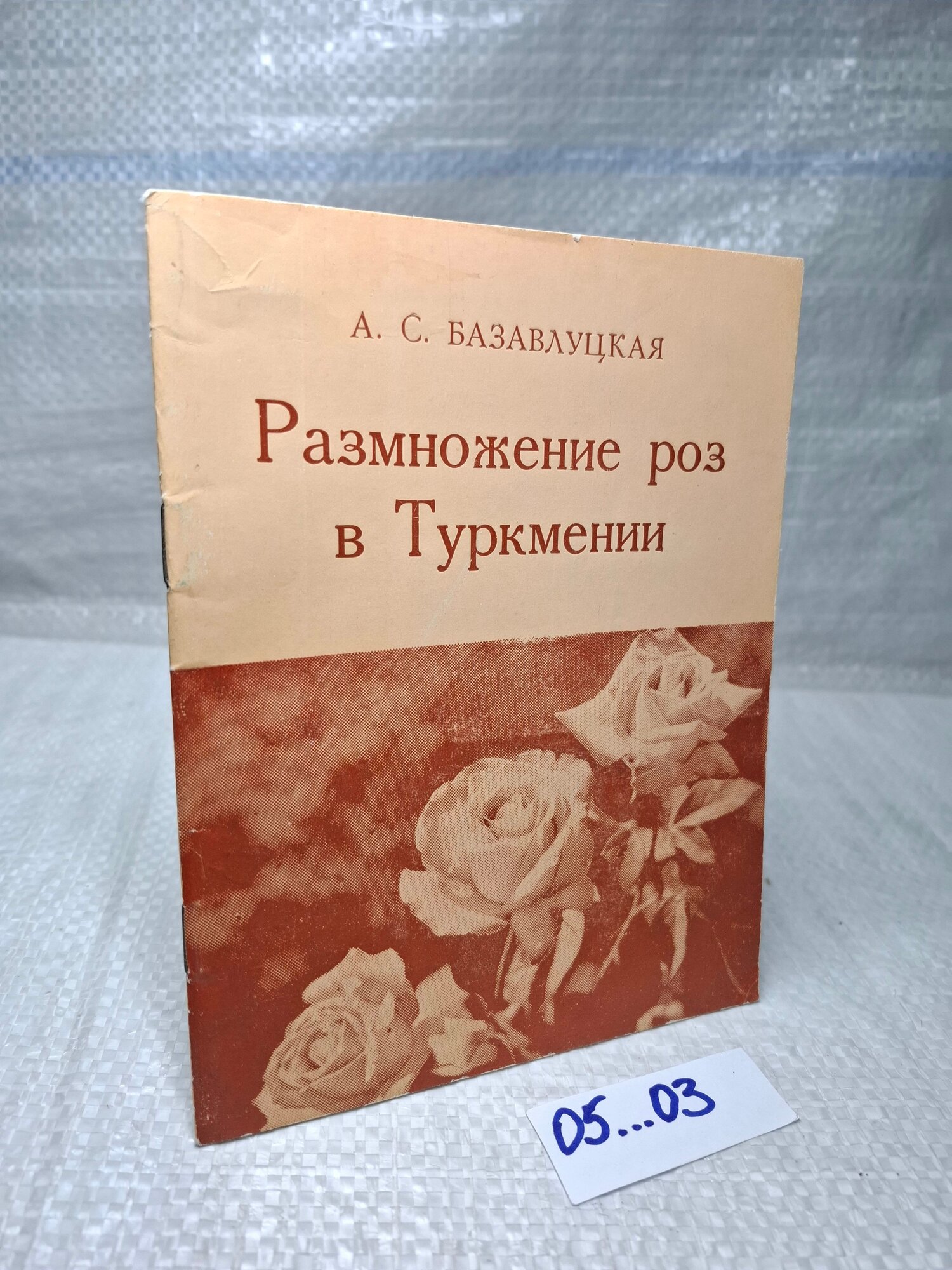 Размножение роз в Туркмении, Базавлуцкая А.