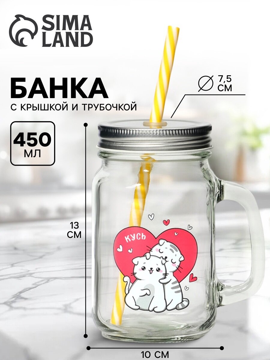 Кружка с крышкой и трубочкой «Котик», 450 мл, 10 × 7.5 × 13 см, стекло