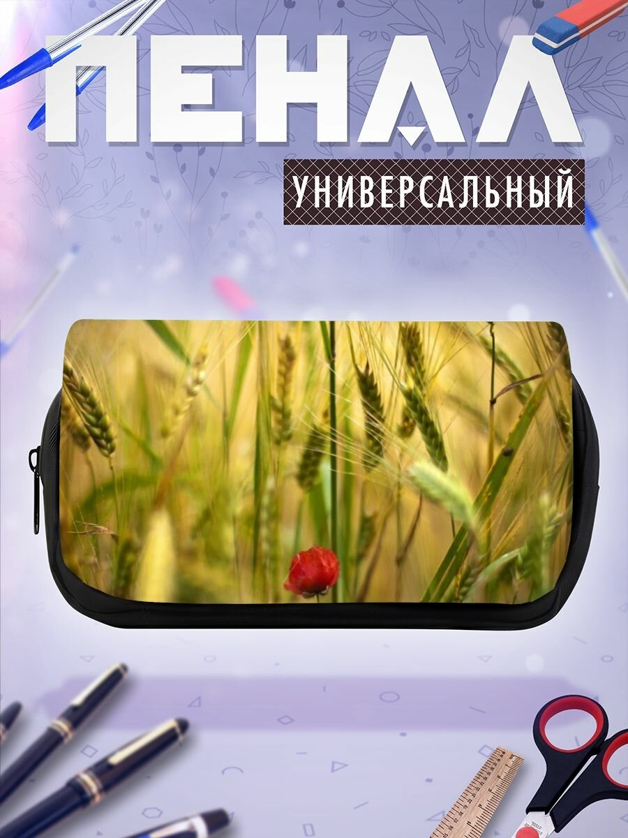 Школьный пенал цветок семейство травы