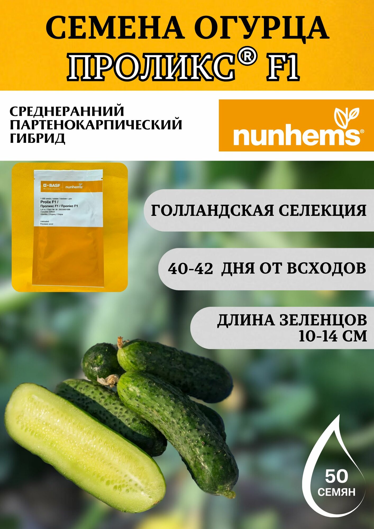 Семена огурца Проликс F1 50 штук Nunhems, профессиональные семена