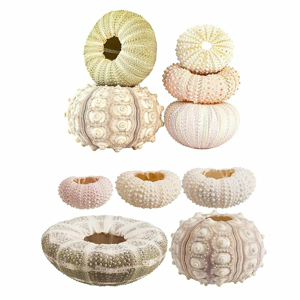 2 комплекта украшений из ракушек, по 10 шт. в каждом