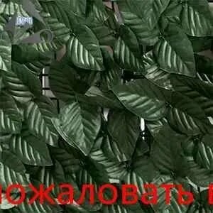 Лента для забора — фото 1