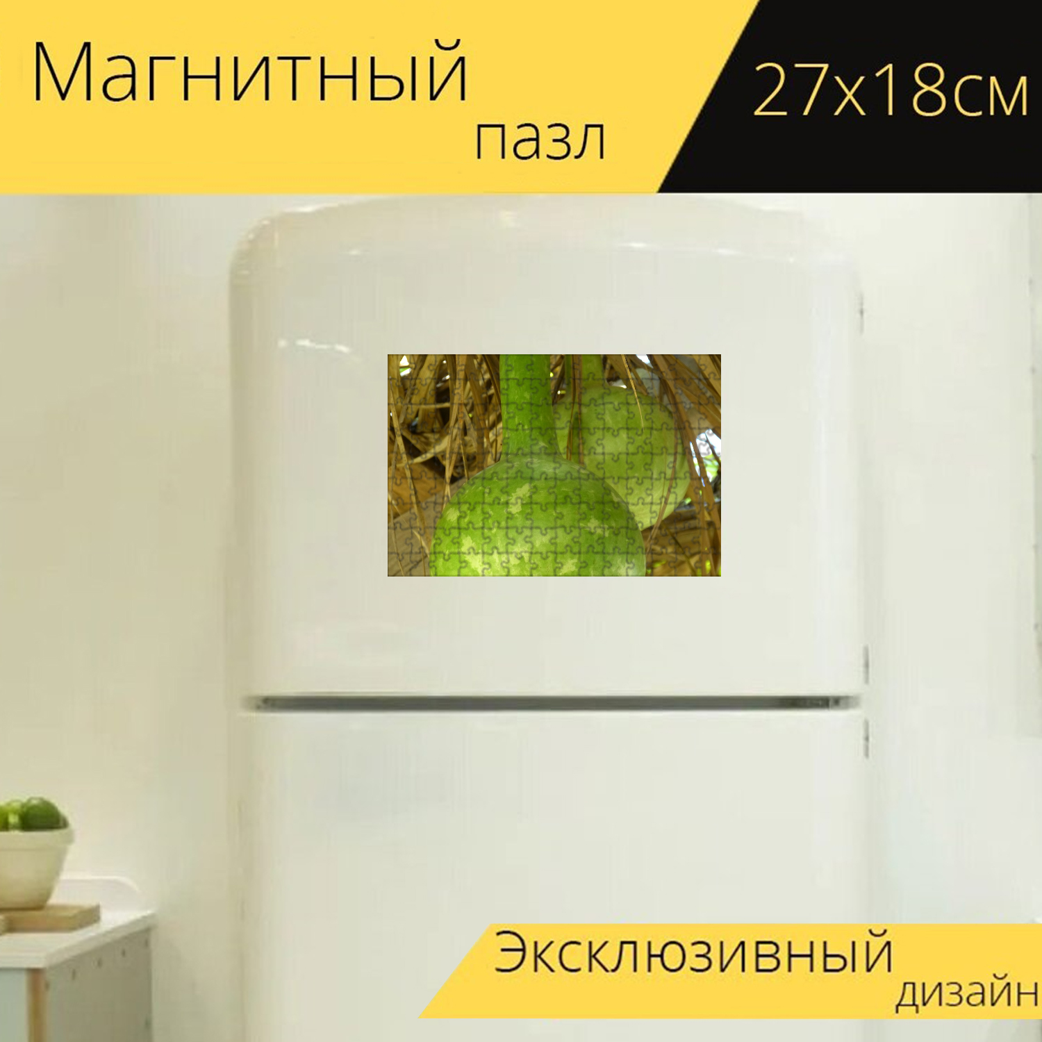 Магнитный пазл "Калебас, тыква, зеленый" на холодильник 27 x 18 см.