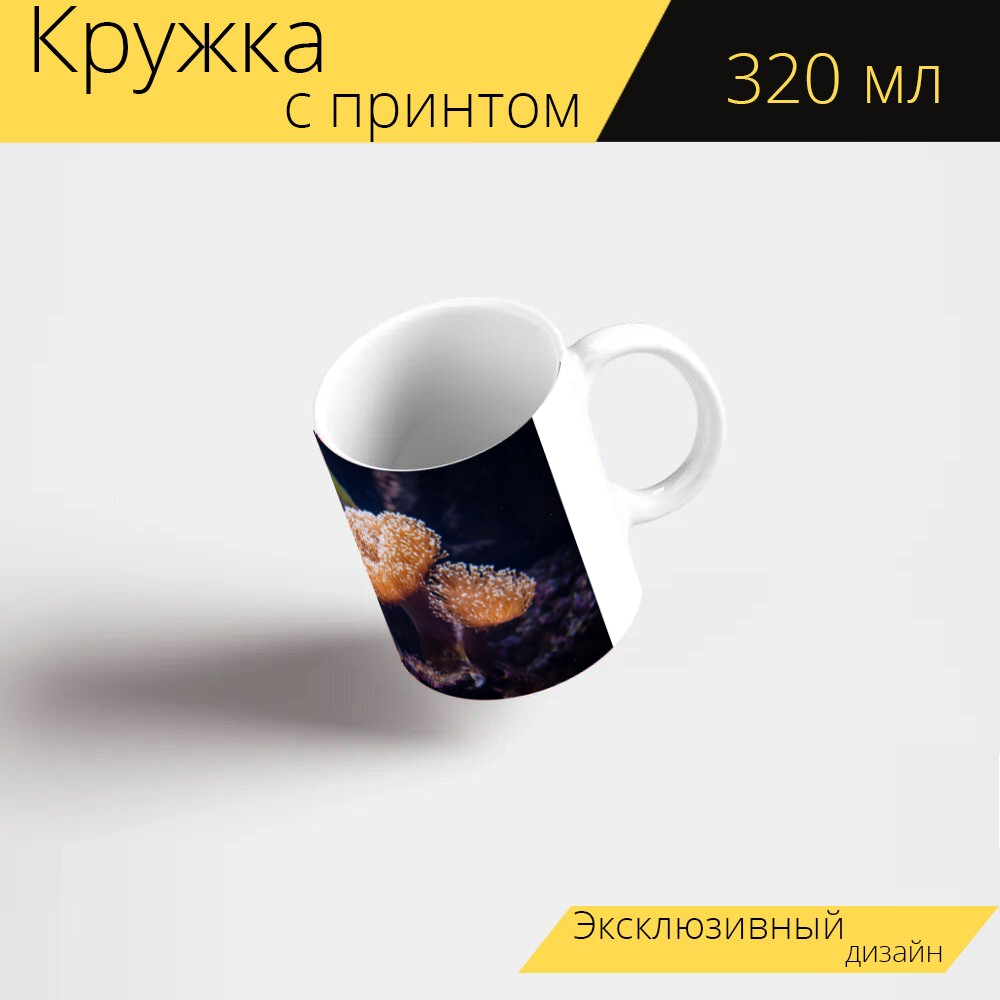 Кружка с рисунком, принтом "Коралл, морское животное, кораллы" 320 мл.