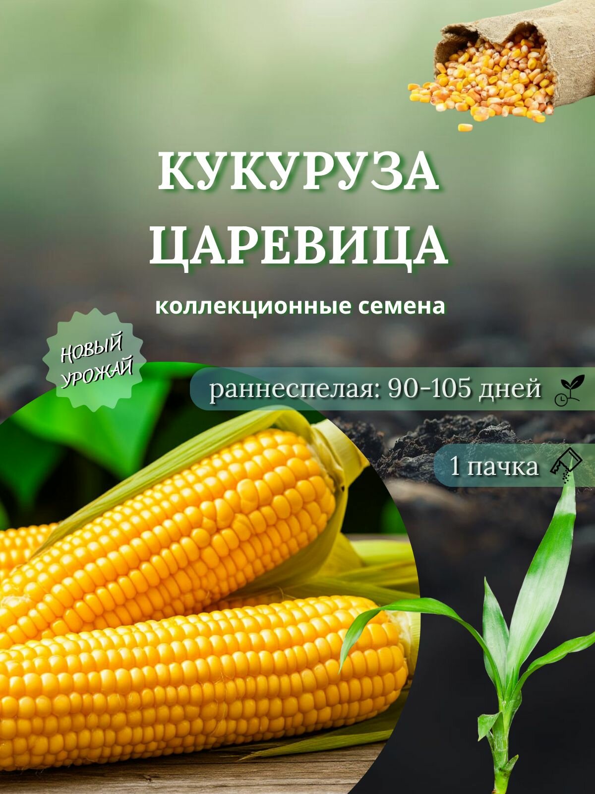 Кукуруза сладкая Царевица, коллекционные семена, 10 шт.