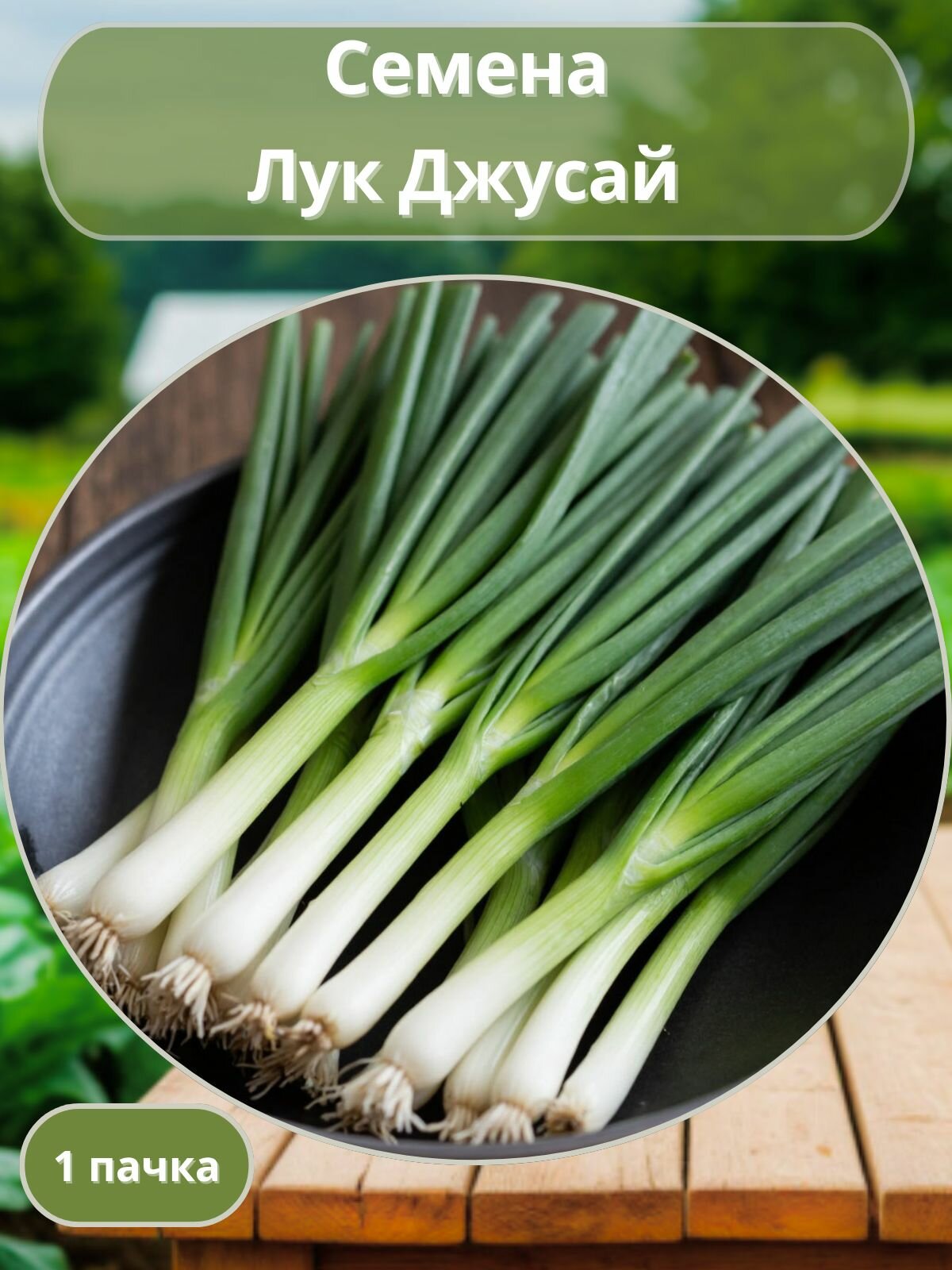 Лук Джусай, семена 10 шт