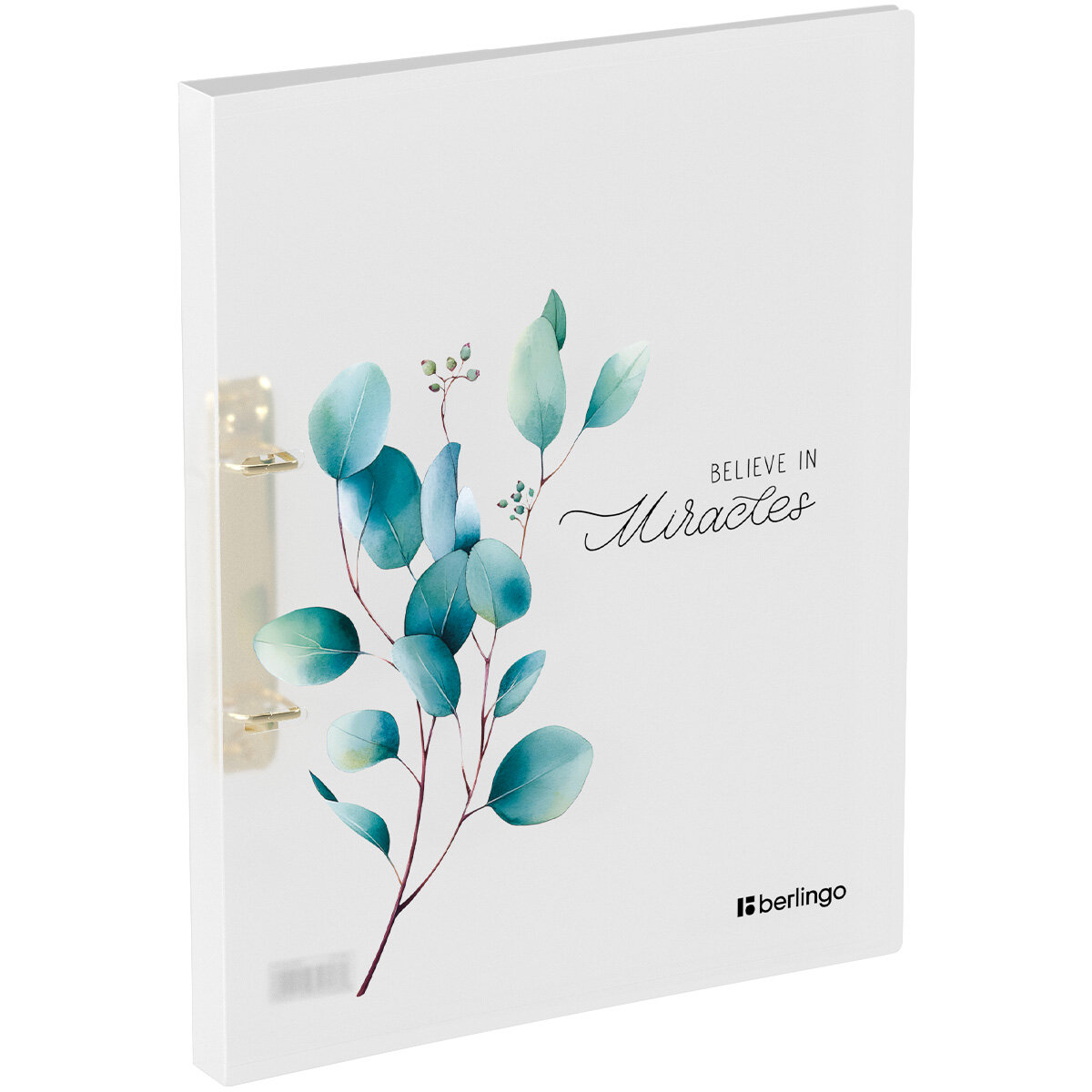 Папка на 2 кольцах Berlingo "Spring", 24мм, 600 мкм, с рисунком, D-кольца, 1шт.