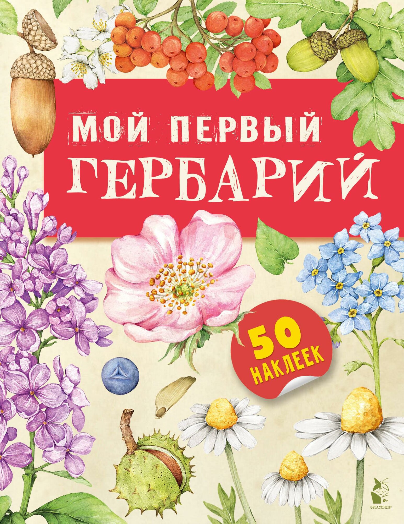 Книга "Мой первый гербарий"