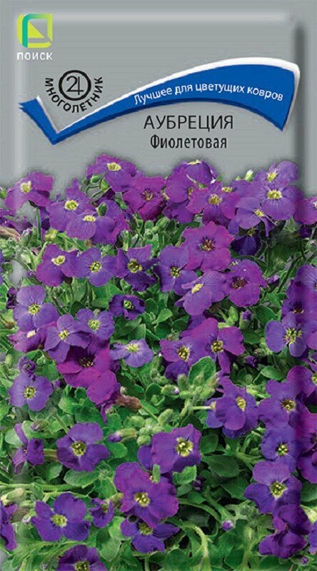 Семена цветов аубреция фиолетовая, для дачи, сада, огорода и на рассаду