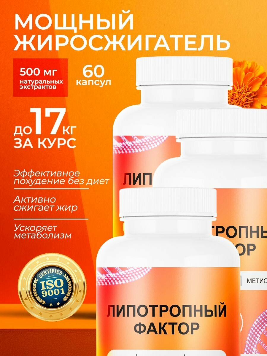 Жиросжигатель "Липотропный Фактор", капсулы, для похудения и контроля веса, 180 шт