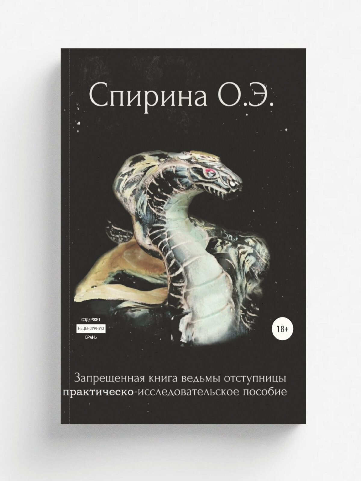 Запрещенная книга ведьмы-отступницы