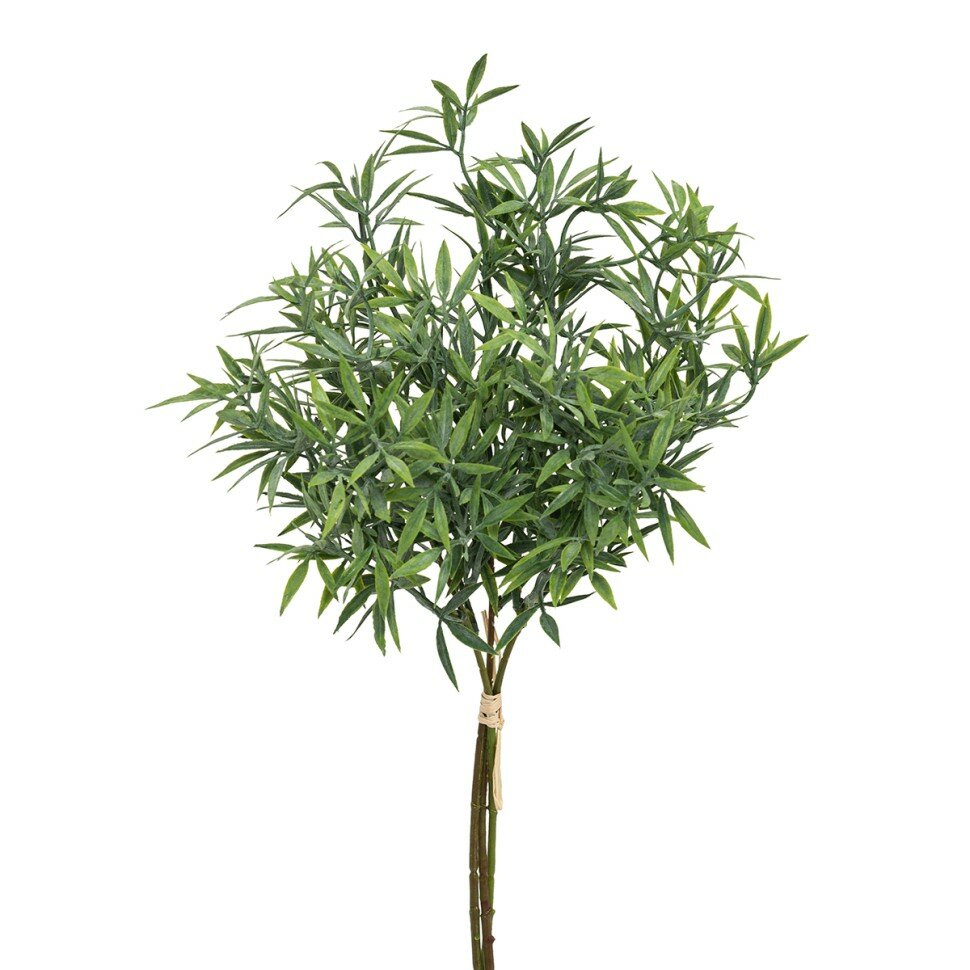 Fiebiger Floristik 106544-800 Ветка декоративная "Аспарагус", 39 см