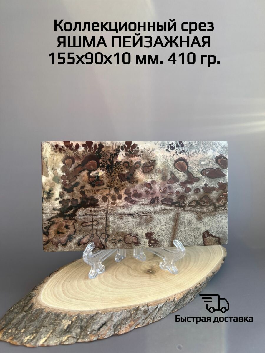 Коллекционный срез из натурального камня Яшма пейзажная