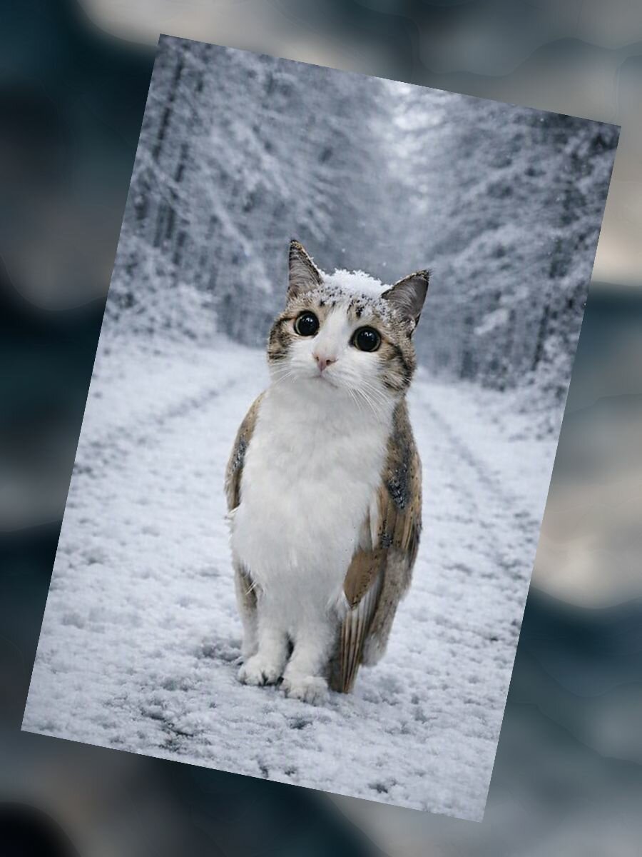 Постер "Кот-сова", 29.7х42см, А3, глянцевый