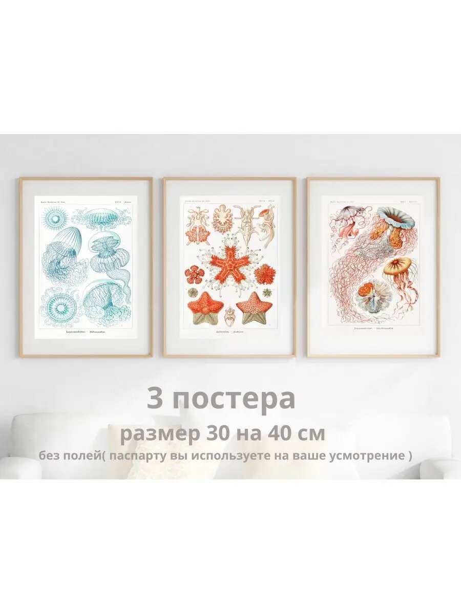 Постеры в морском стиле, 30 x 40 см, материал бумага, без рамы