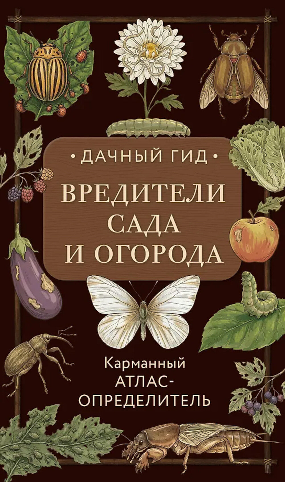 Вредители сада и огорода. Карманный атлас-определитель. Яблонева И.
