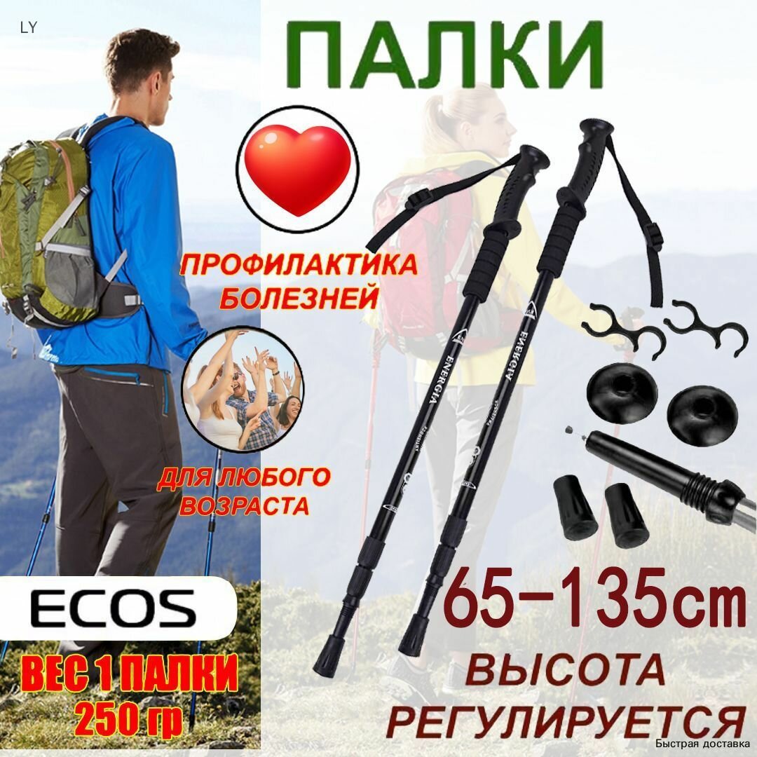 Палки для скандинавской ходьбы