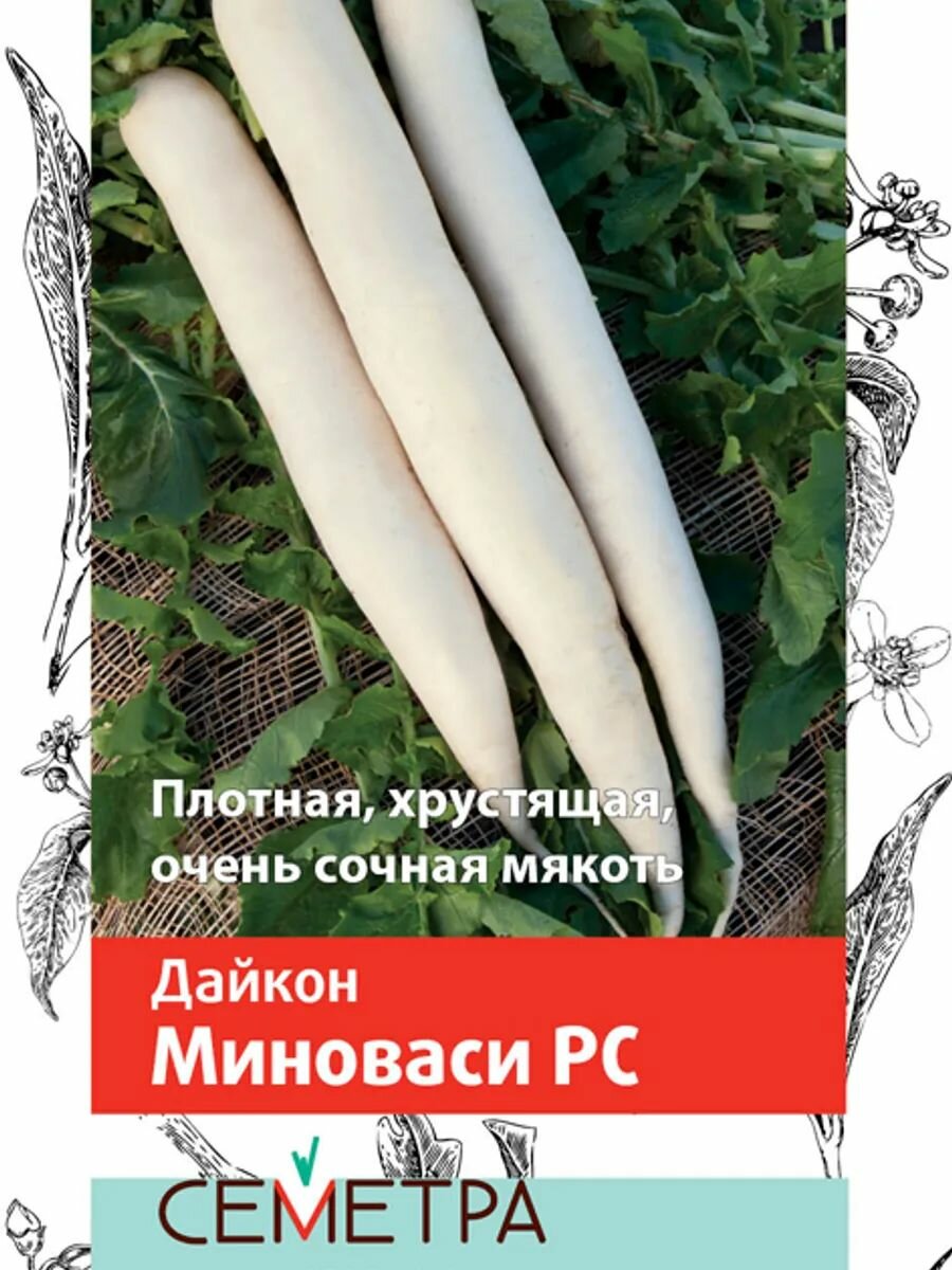 Дайкон (Редька китайская) Миноваси РС 1 г, Семена Поиск