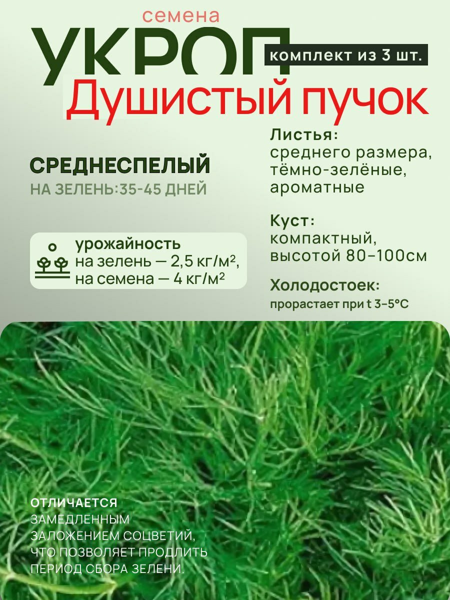 Семена укропа Агрофирма аэлита "Душистый пучок", однолетние, 3 упаковки