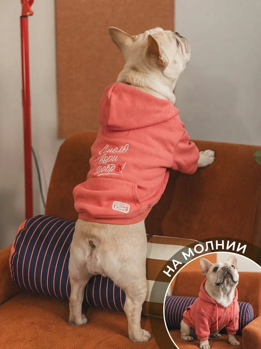 Кофта для собак с молнией (французский бульдог)
