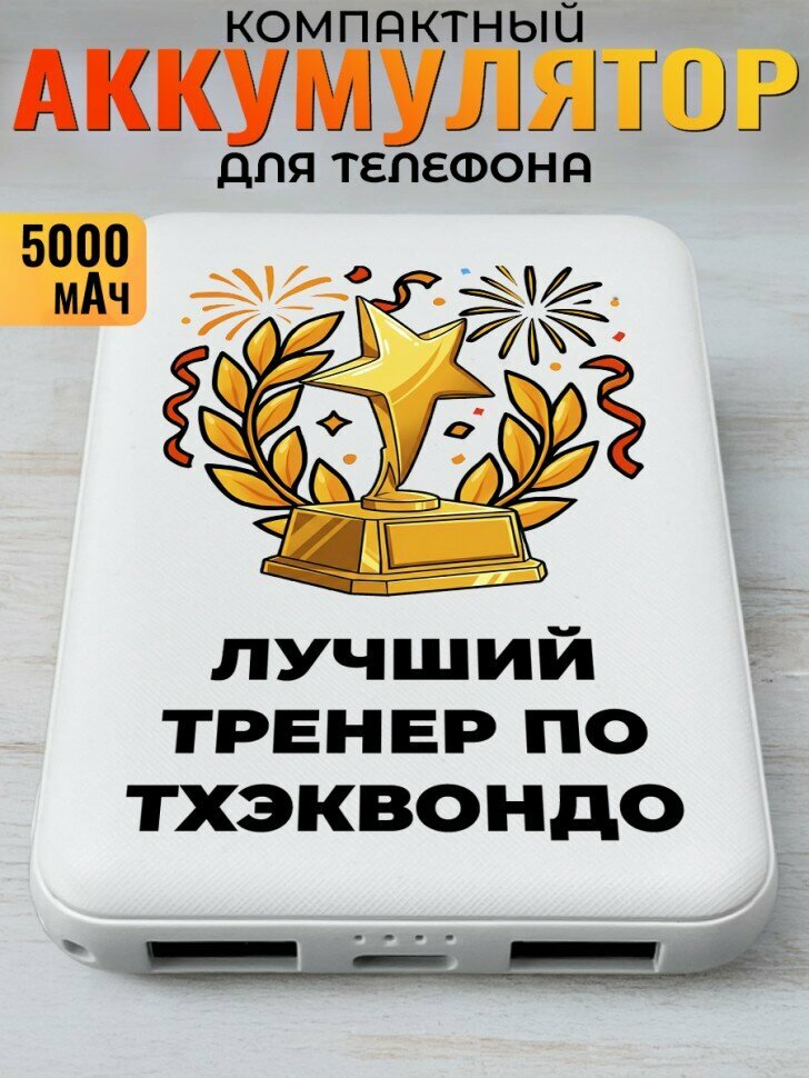 Повербанк "Лучший тренер по тхэквондо"