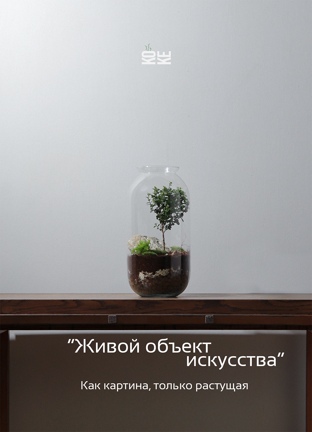 Флорариум XL c деревом "Мирсина"/ закрытая экосистема коке/декор, многолетнее растение/Ручная работа/подарок