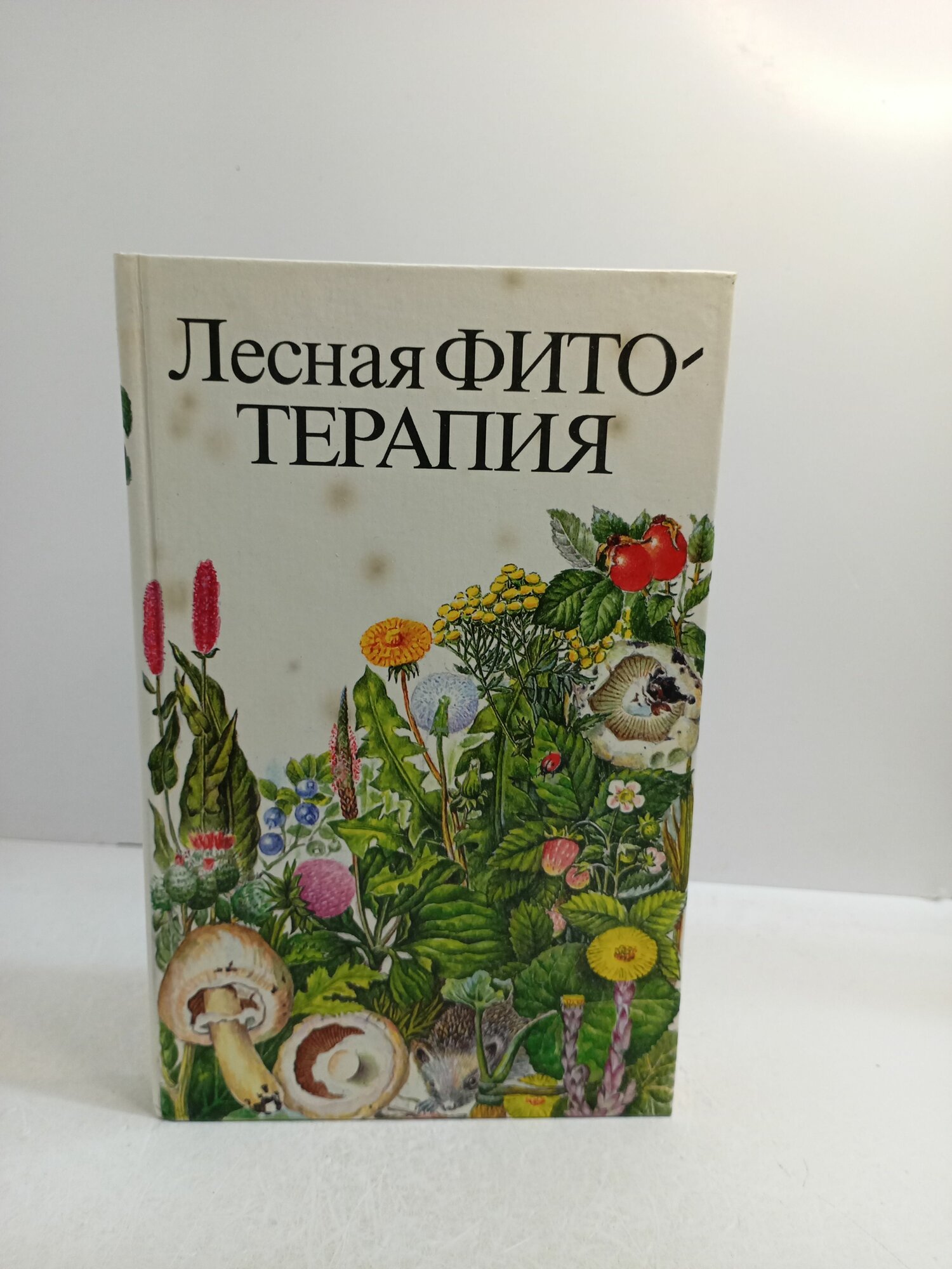 Лесная фитотерапия