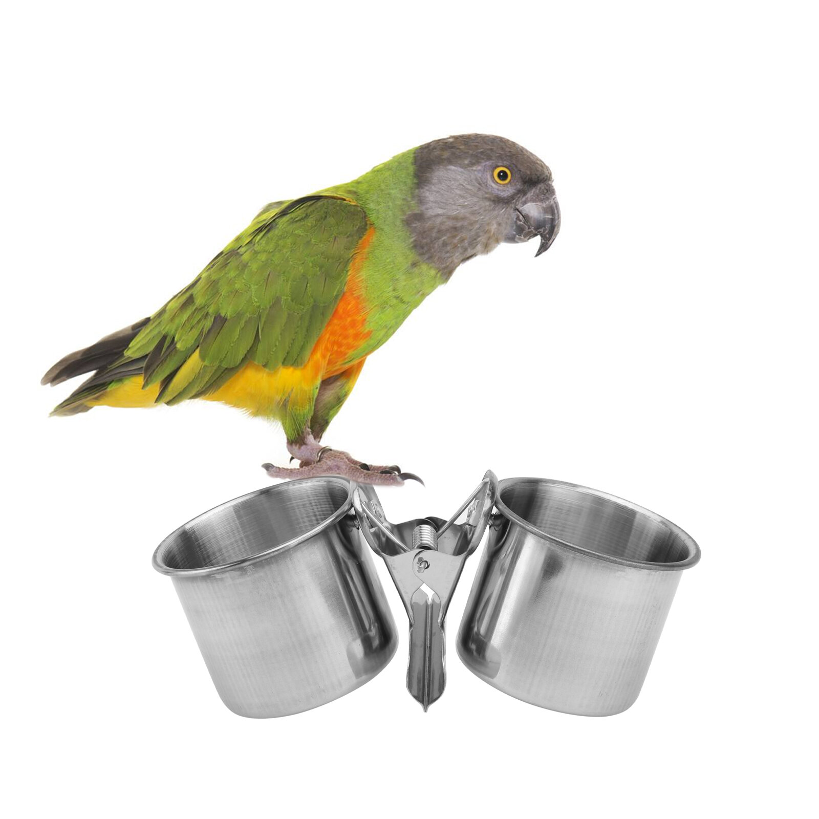 Кормушка для попугаев из нержавеющей стали, двойная чашка с зажимом (серебристая)