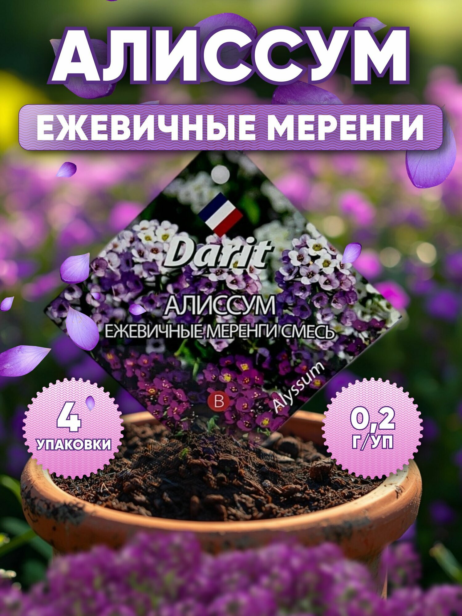 Семена Darit Алиссум Ежевичные меренги, 4 уп*0,2г