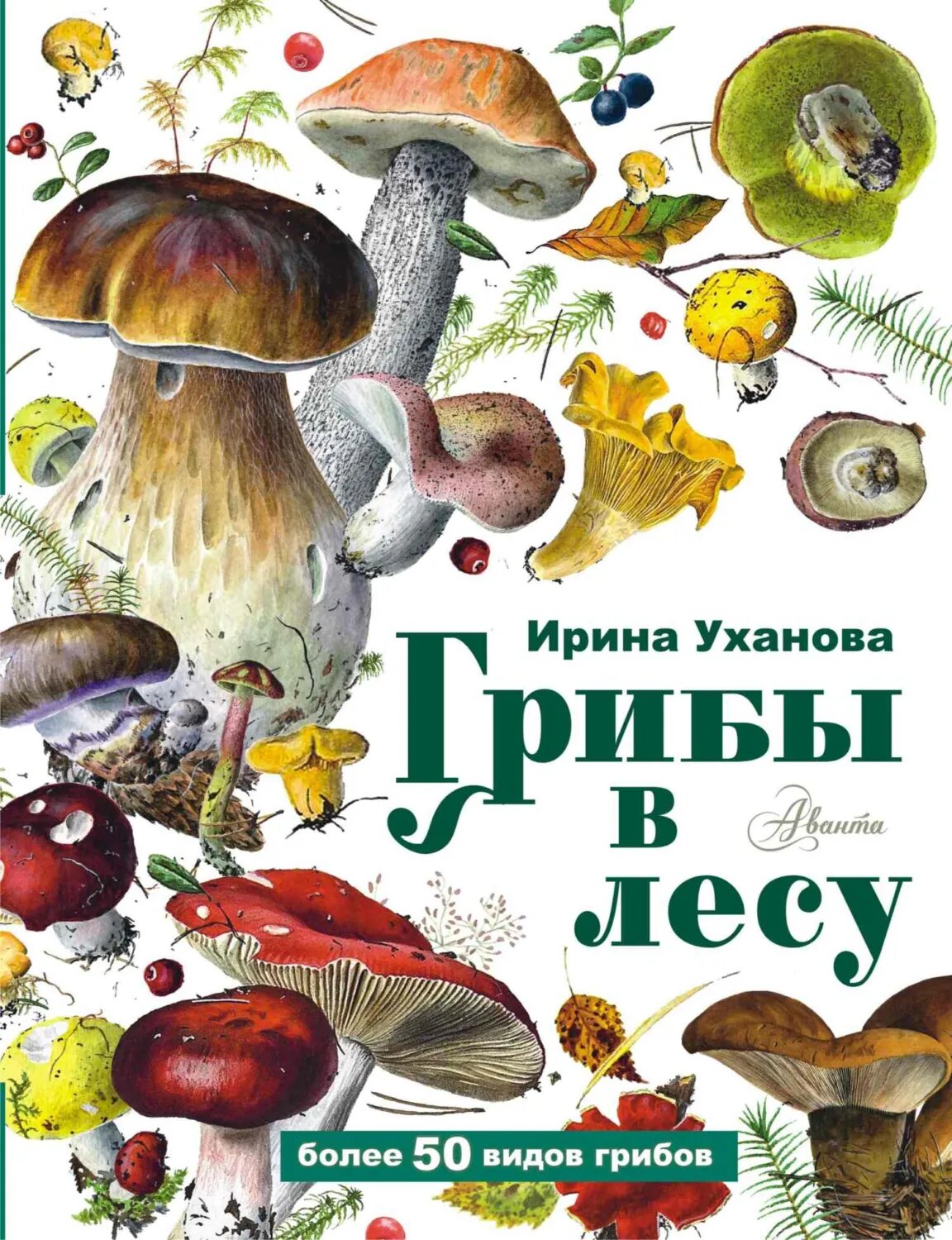 Грибы в лесу [Цифровая книга]
