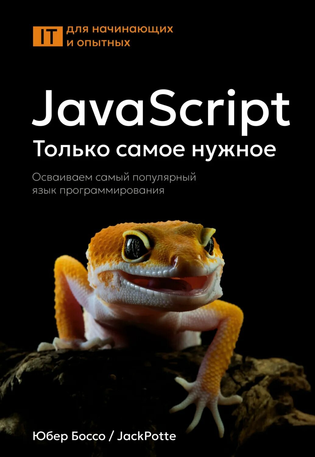 JavaScript. Только самое нужное. Осваиваем самый популярный язык программирования [Цифровая книга]