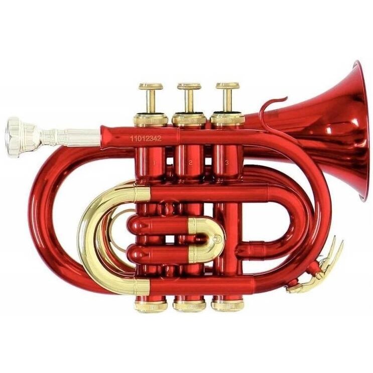 Труба карманная Roy Benson PT-101R