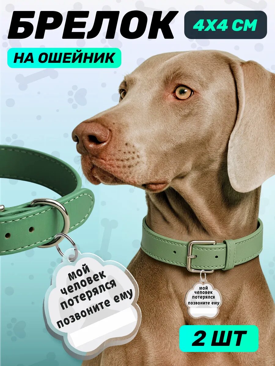Адресник для собаки на ошейник