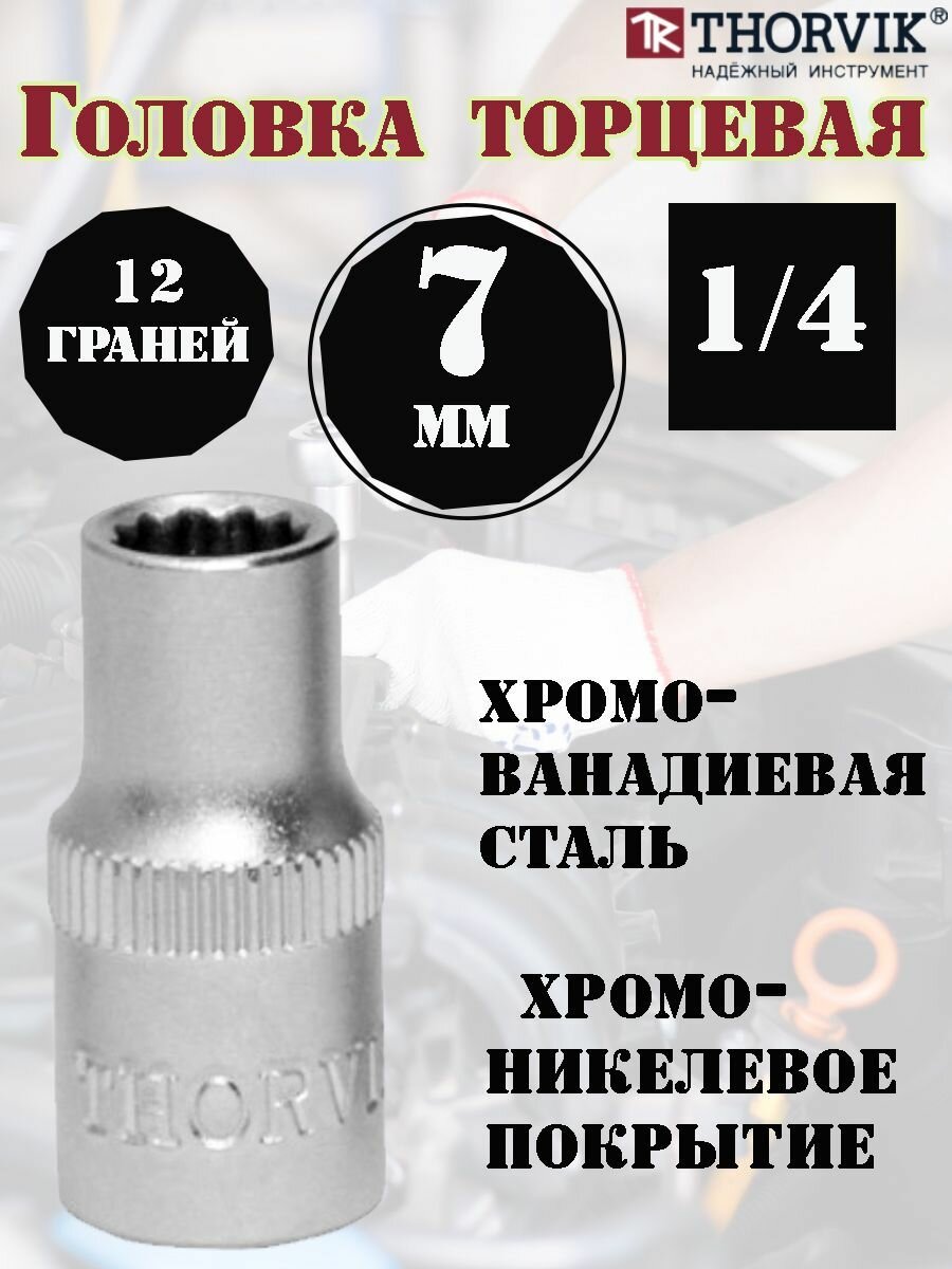 Головка торцевая THORVIK, 12-гранная 1/4"DR, 7 мм