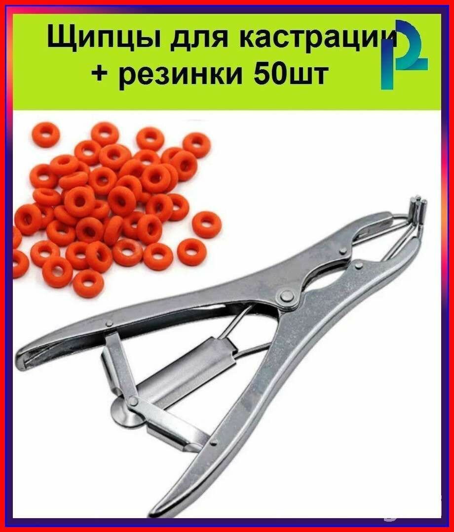 Щипцы натяжные для кастрации + 50 колец-резинок