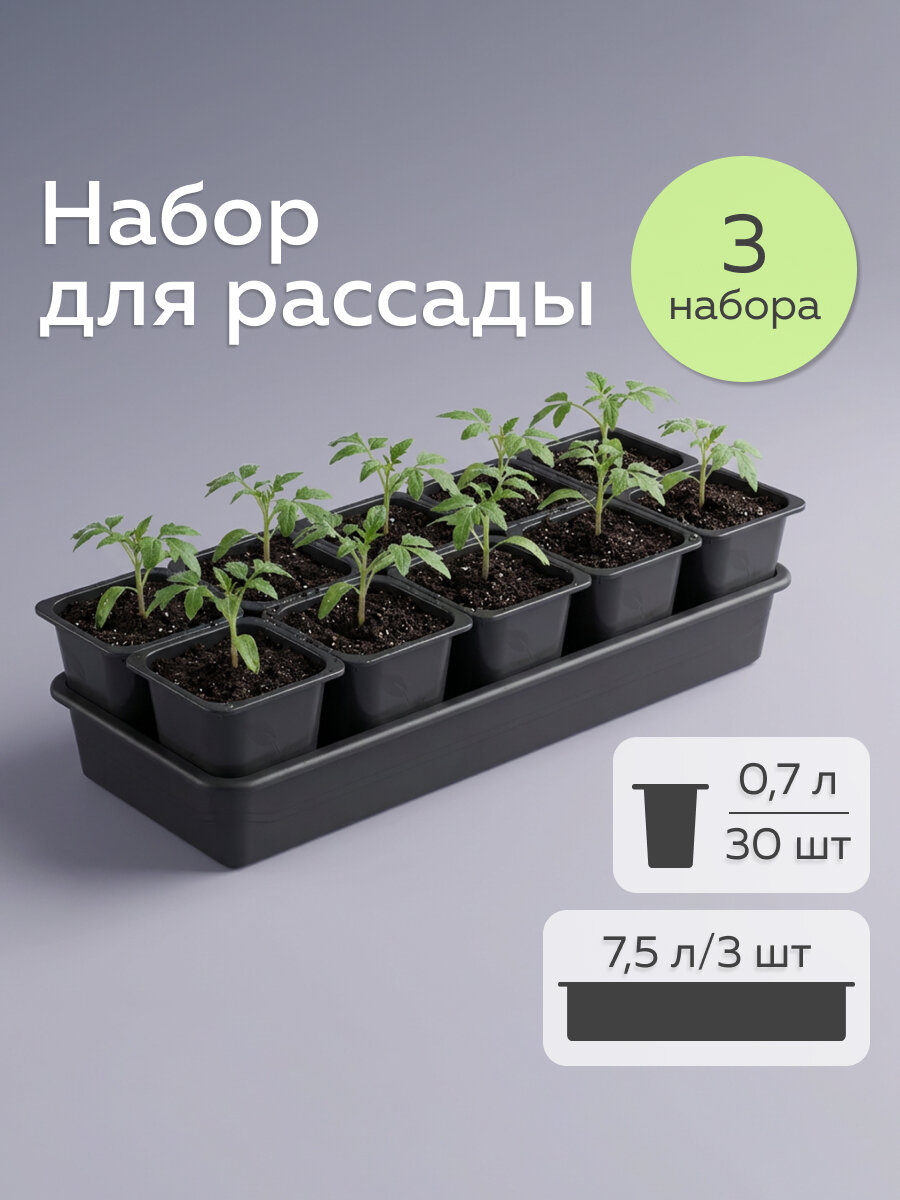 Набор для рассады «Агроном» с поддоном, Альт-Пласт, пластик, чёрный, 0,7л (30шт), поддон 7,5л (3шт)