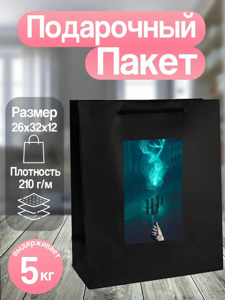 Пакет подарочный Гарри Потер