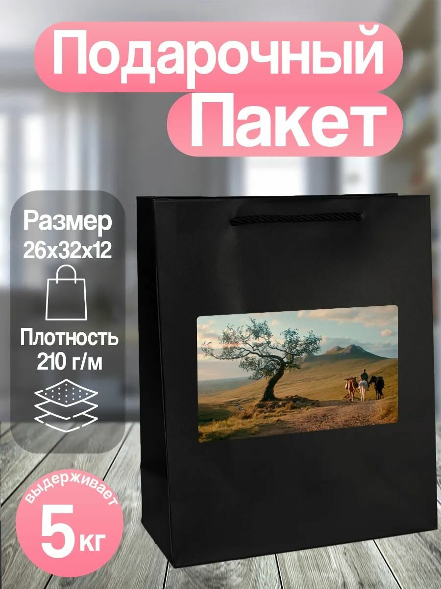 Пакет подарочный Рыцарь семи королевств, упаковка для подарка, 26х31 см