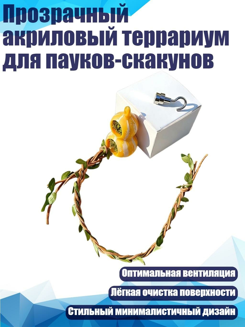 Прозрачный акриловый террариум для пауков-скакунов, Стиль1