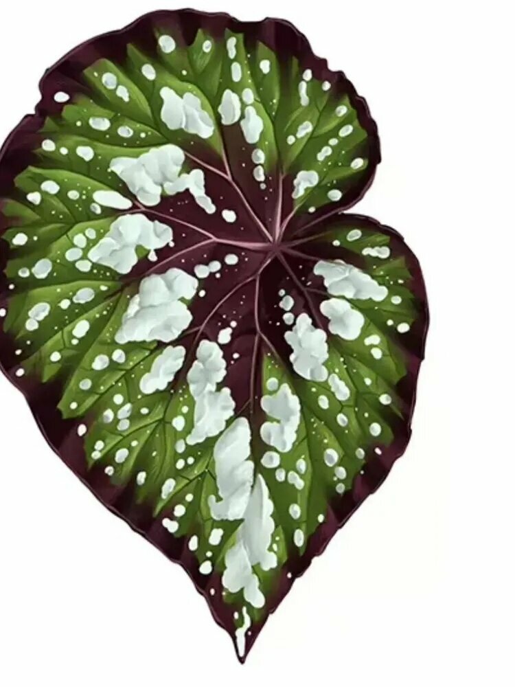 Магия Растений: Редкие тропические растения, креативные магниты на холодильник, декор для дома, серия растительных магнитов