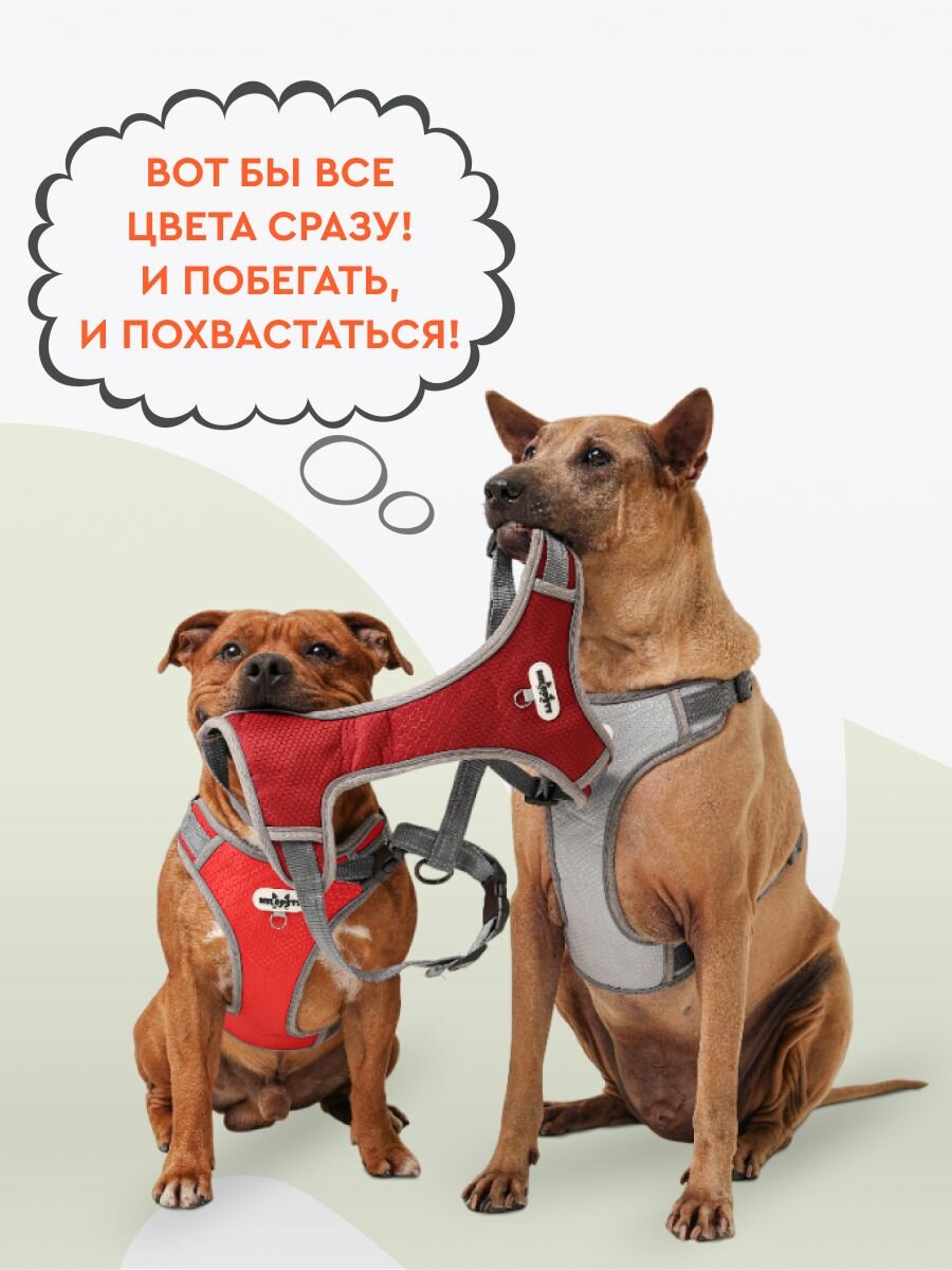 Шлейка — фото 1