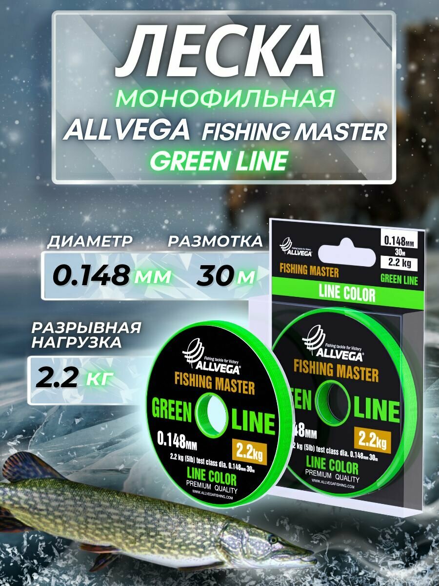 Леска для зимней рыбалки Fishing Master 0.148мм 30м 2.2кг зеленая