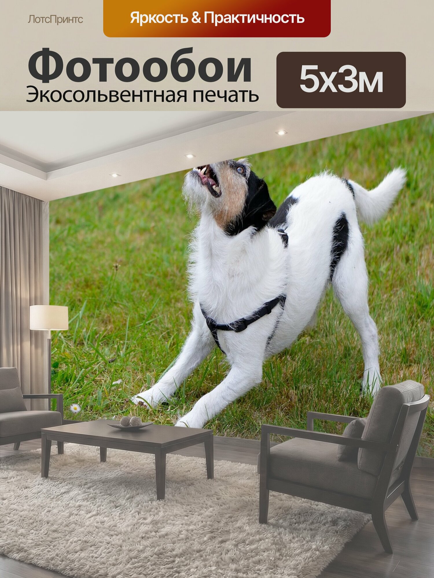 Фотообои "Собака, гибридный, игра" 500x300 см. экосольвентная печать