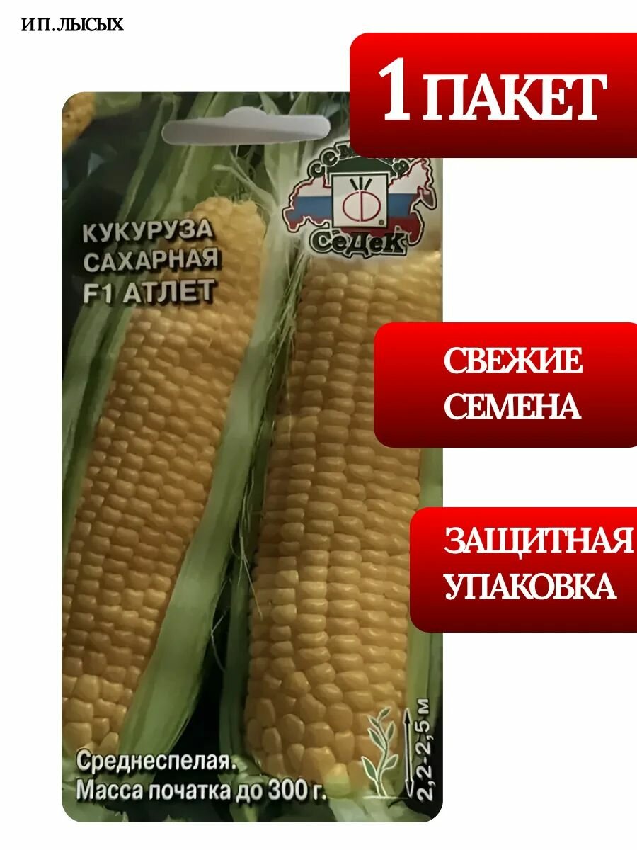 Семена Кукуруза "Атлет"