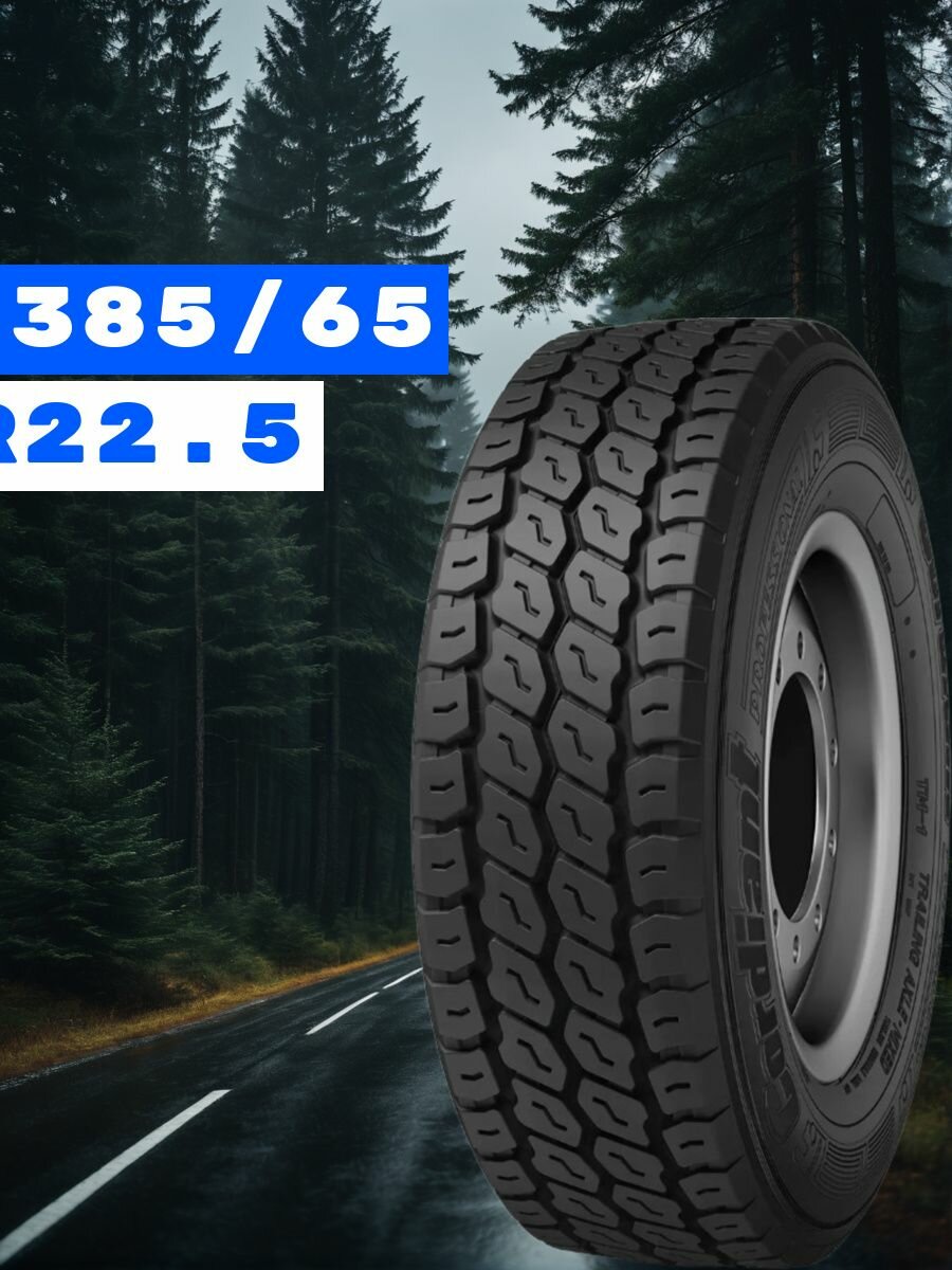 Автошина 385/65R22.5 164K PROFESSIONAL TM-1 CORDIANT TBL