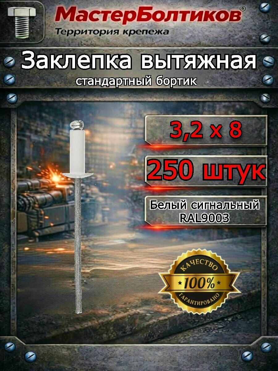 Заклепка вытяжная, крашенная Al/St RAL9003 цвет белый сигнальный 3.2х8 "МастерБолтиков" ( 250 штук )