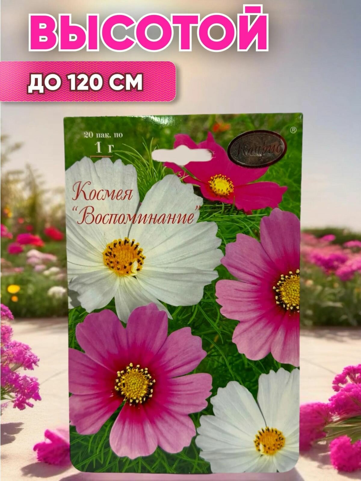 Семена космеи Каприс Воспоминание, смесь, холодостойкая, Германия