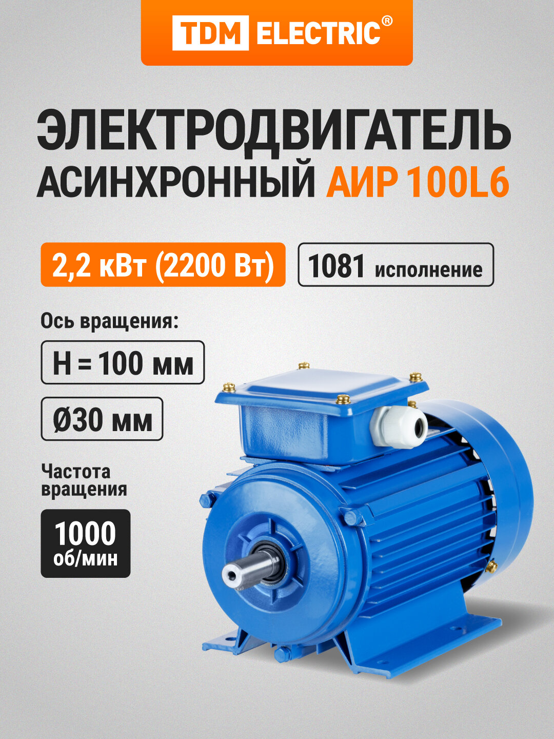 Эл. Двиг. АИР 100L6 2,2 кВт 1000 об/мин 1081 TDM