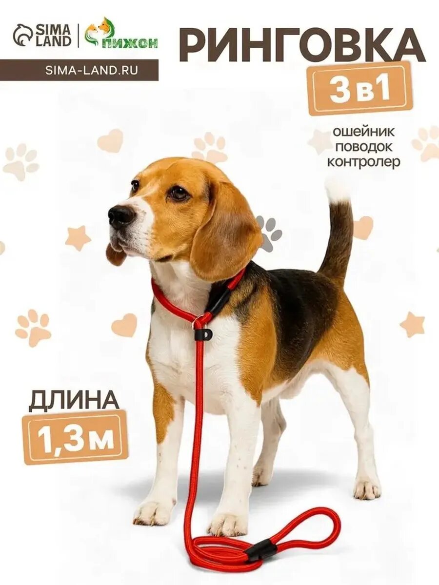 Яркая красная ринговка для собак
