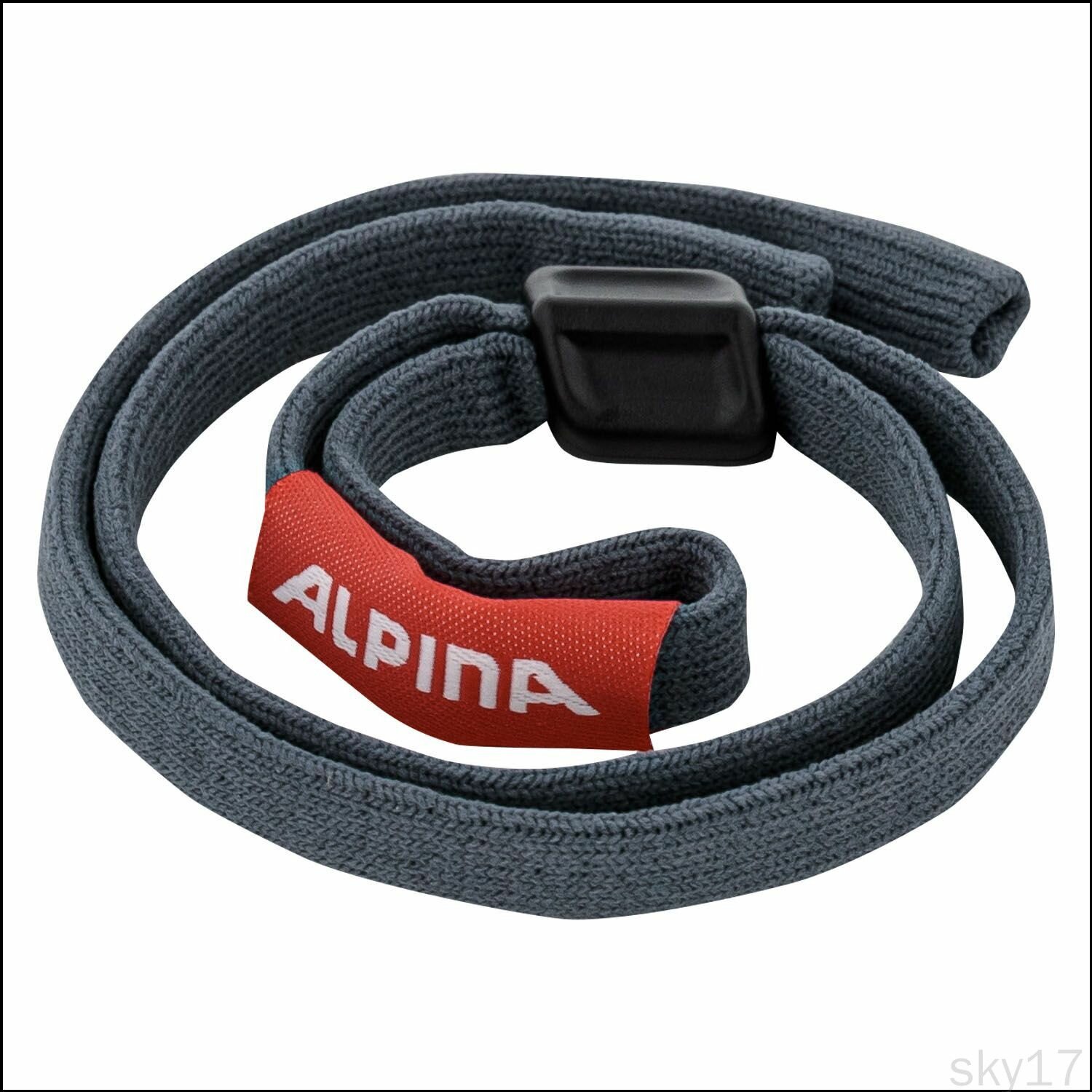 Шнурок Для Очков Alpina Style Grey (UNI: one size)
